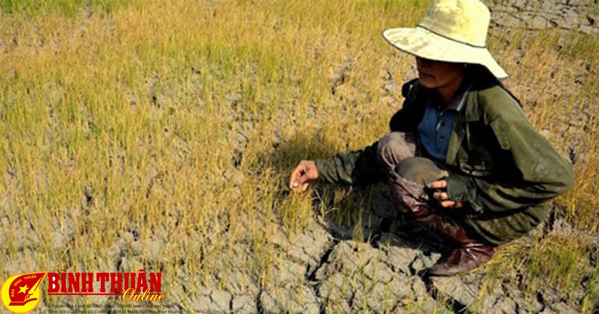 Vietnam promotes gender mainstreaming in climate change policies